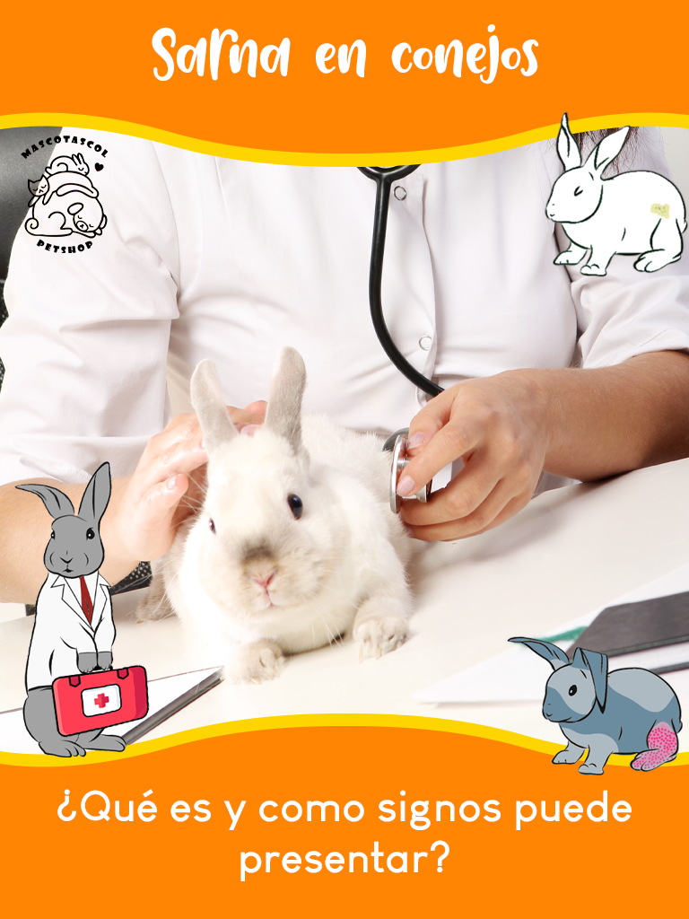 Mascotascol Conejoscol Petshop – Tienda para mascotas Bogotá y todo ...